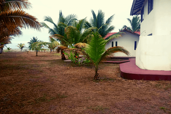 The Ultimate Guide to Cojimies Beach - Expats Ecuador